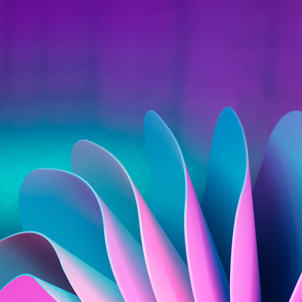 MYMESRA Dazzles With All New Website and AI Chatbot In A Single ...